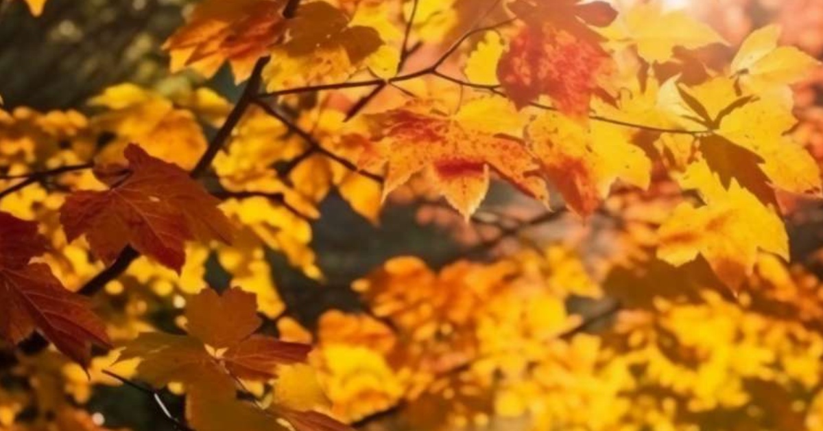 Find 2023 Fall Events in Albany, NY and the Capital Region