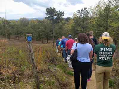 Explore NY's Albany Pine Bush Preserve: Trails, History & More